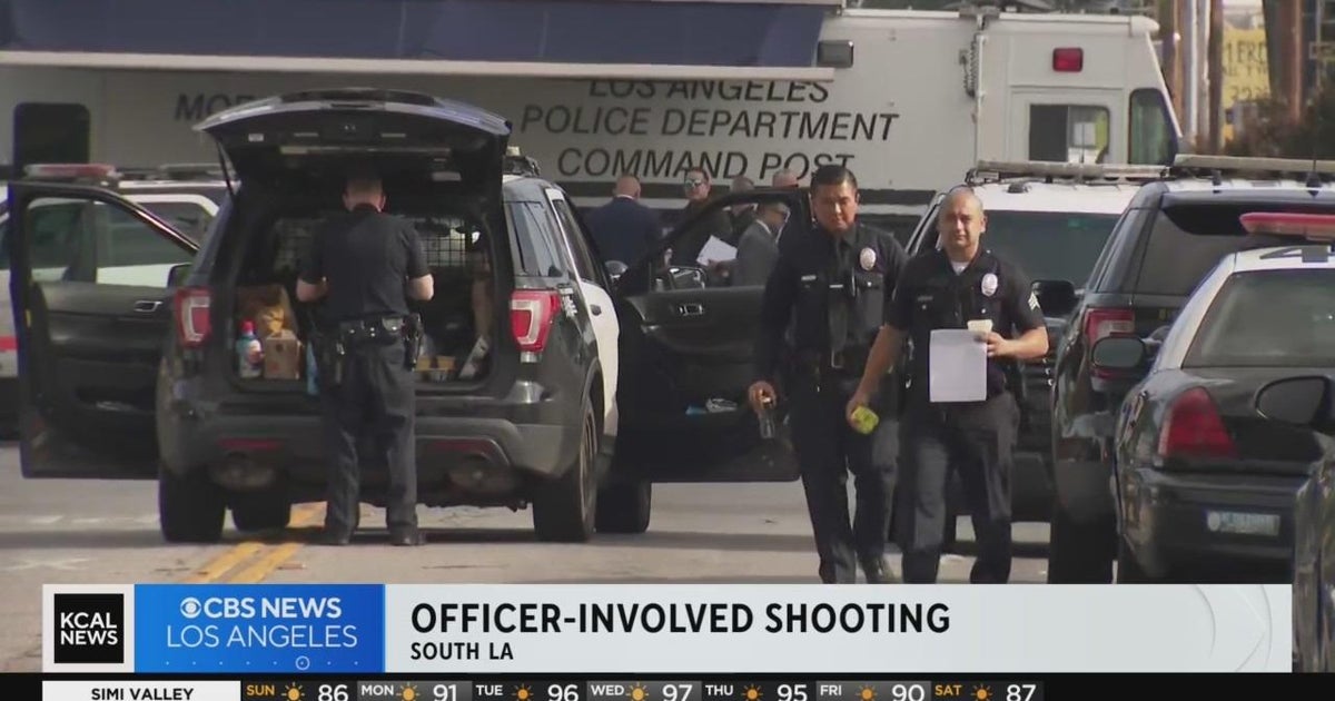 Police fatally shoot grand theft auto suspect in South Los Angeles ...