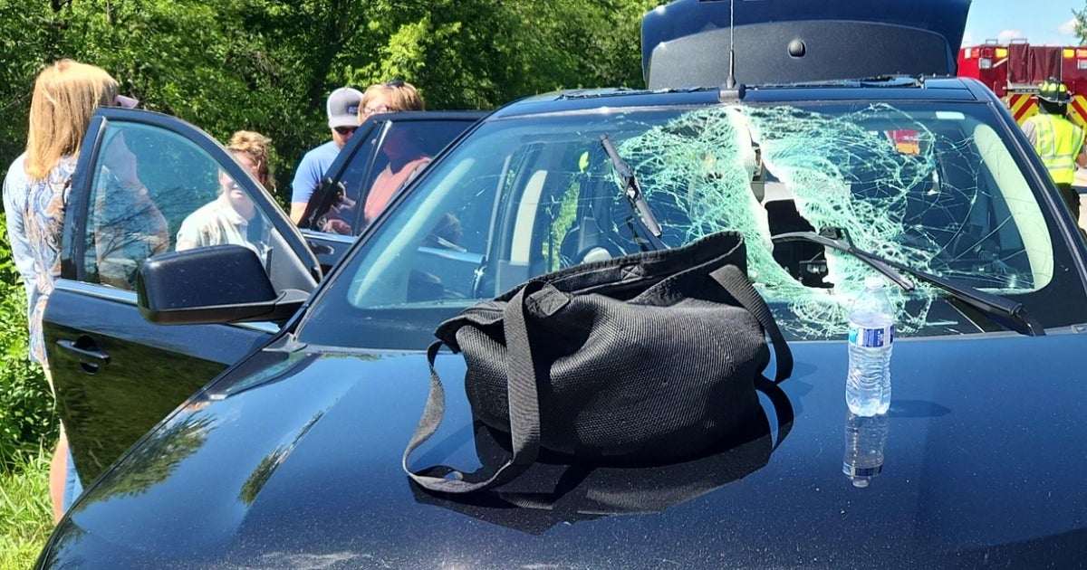 Passenger injured when loose piece of wood smashes through windshield ...