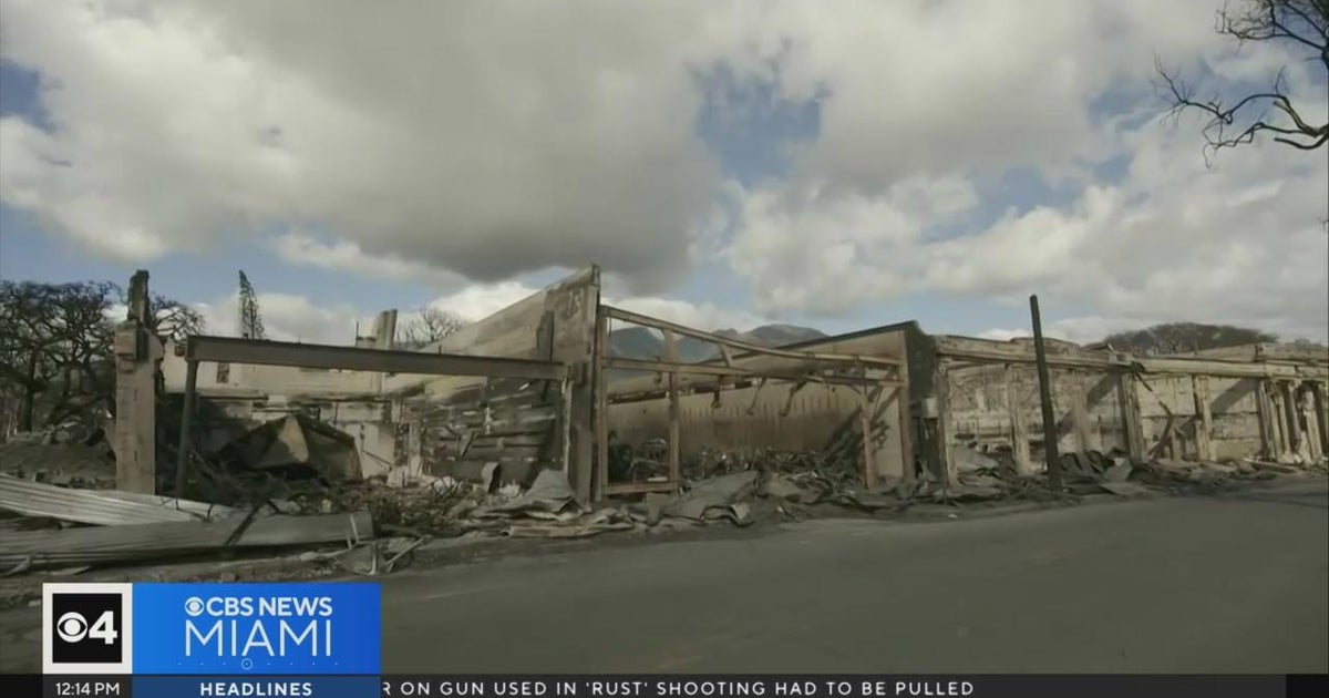 Miami-Dade Fire Rescue's Task Force 1 to assist in search on MauiTASK ...