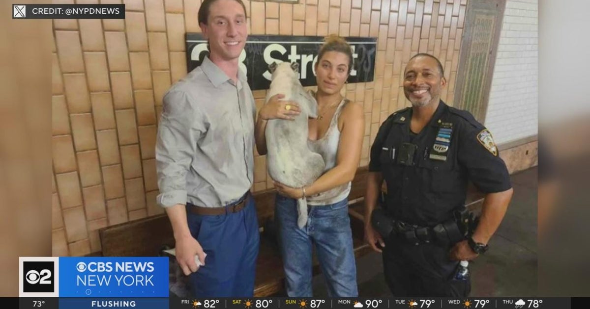 Dog that ran onto subway tracks reunited with owners - CBS New York
