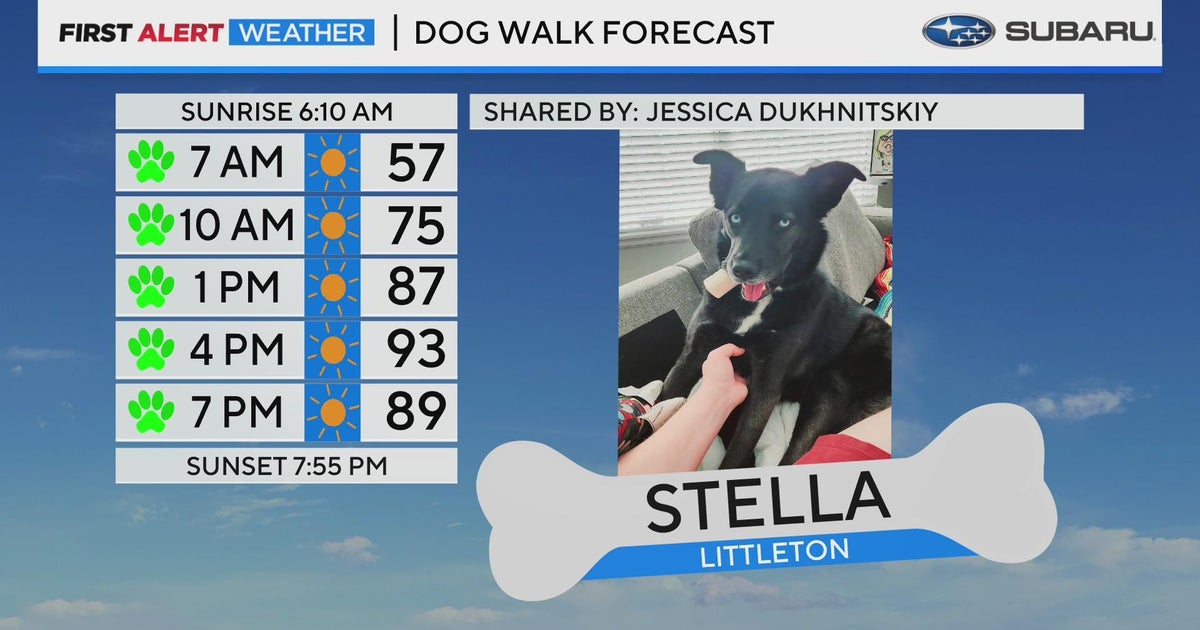 Stella joins Dog Walk Forecast - CBS Colorado