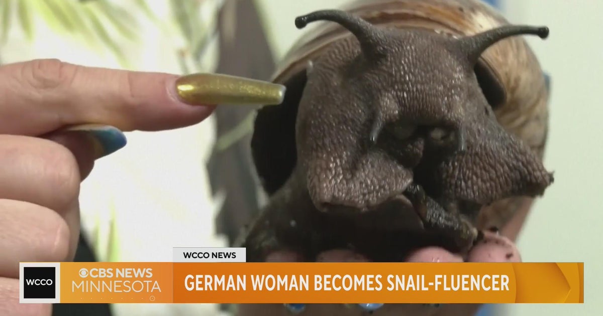 Munich woman keeps snails as pets - CBS Minnesota