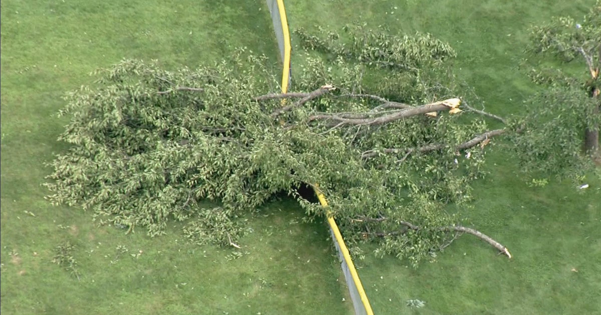 These towns reported storm damage after tornado warnings in Rhode ...