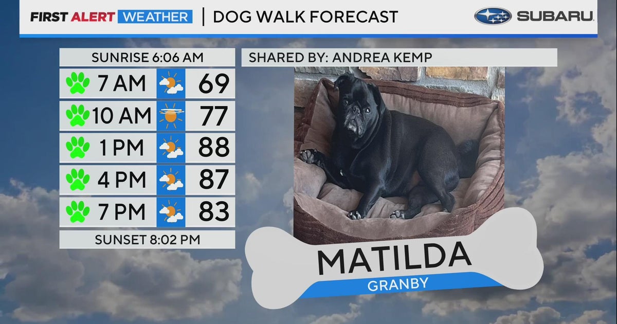 Matilda joins Dog Walk Forecast - CBS Colorado