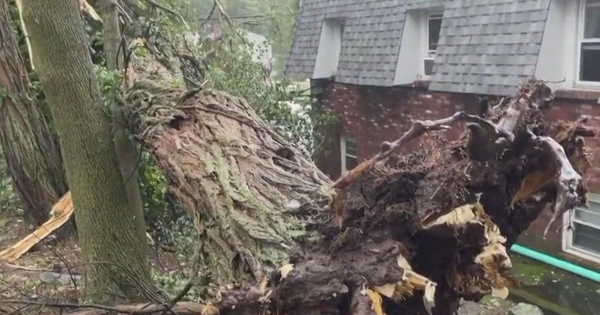 Trees brought down, streets flooded after tornado warnings in Rhode ...