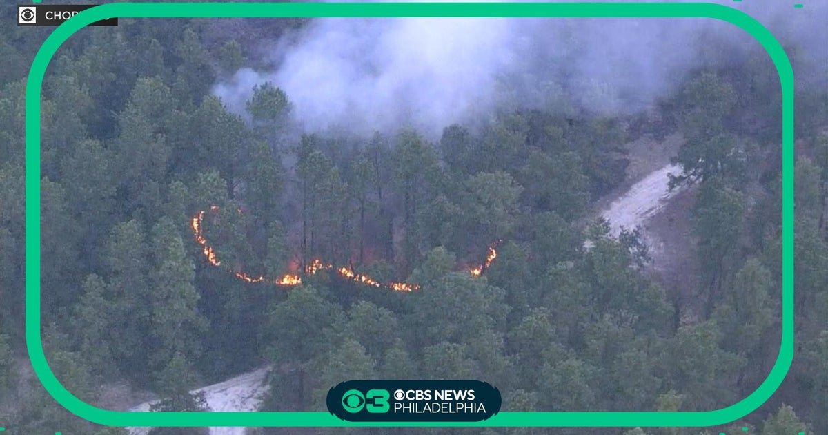 Wharton State Forest fire grows to 600 acres, 10% contained - CBS ...