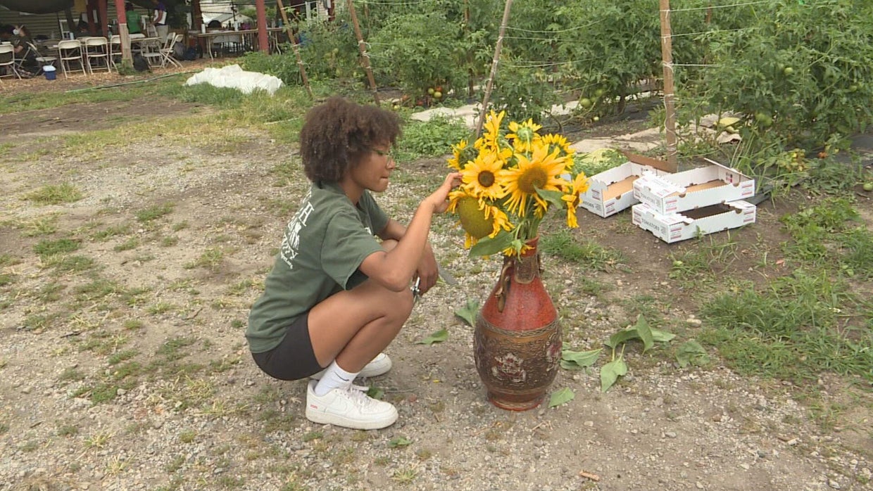 The Food Project teaches teens farming and how to sell produce locally ...