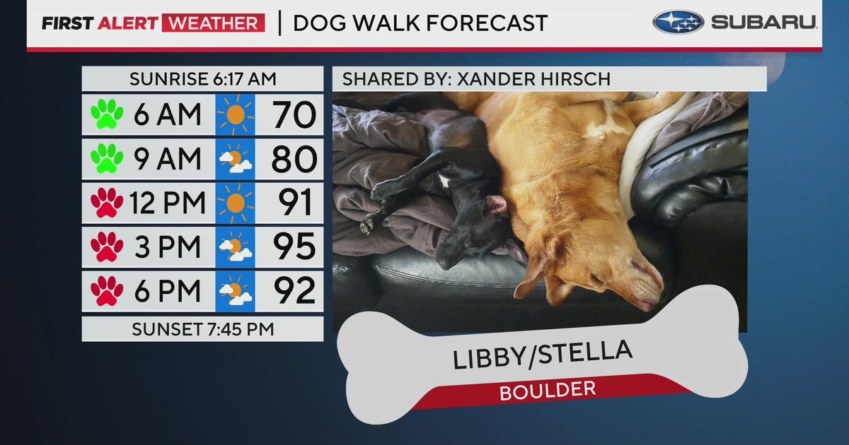 Libby and Stella join Dog Walk Forecast - CBS Colorado