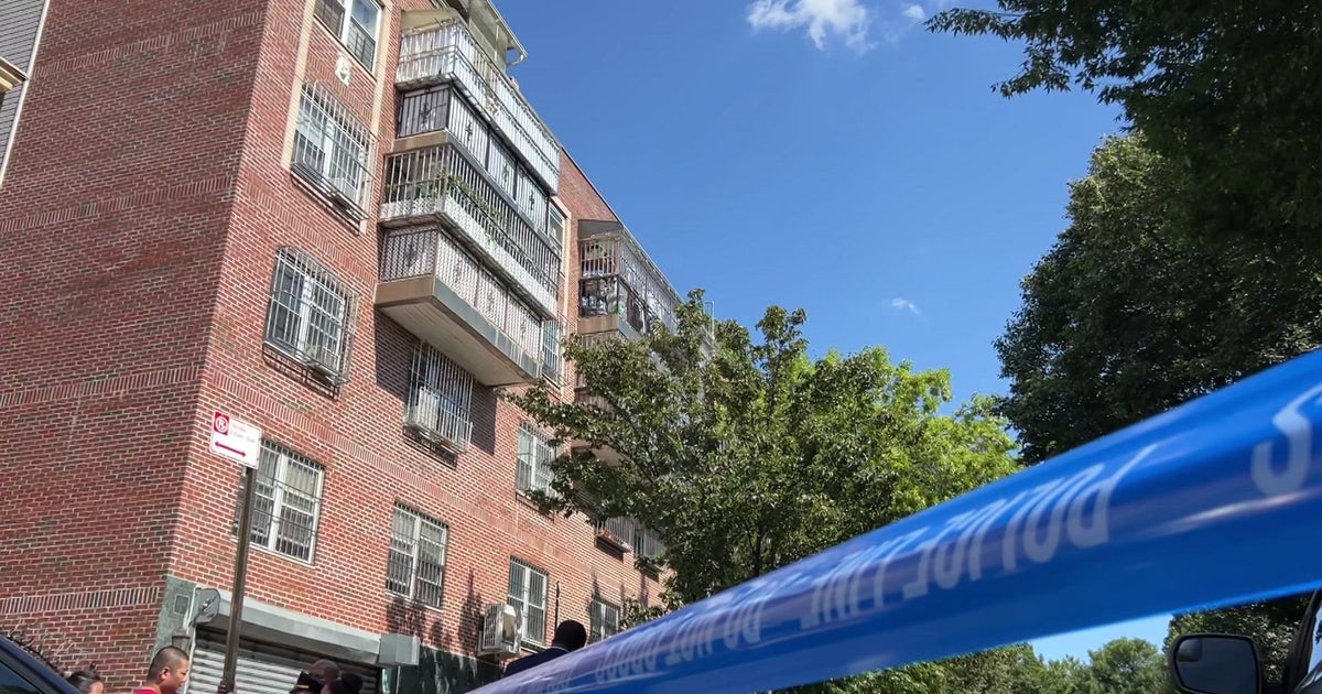 Liyong Ye charged with murder in hammer attack that killed mother Zhao ...