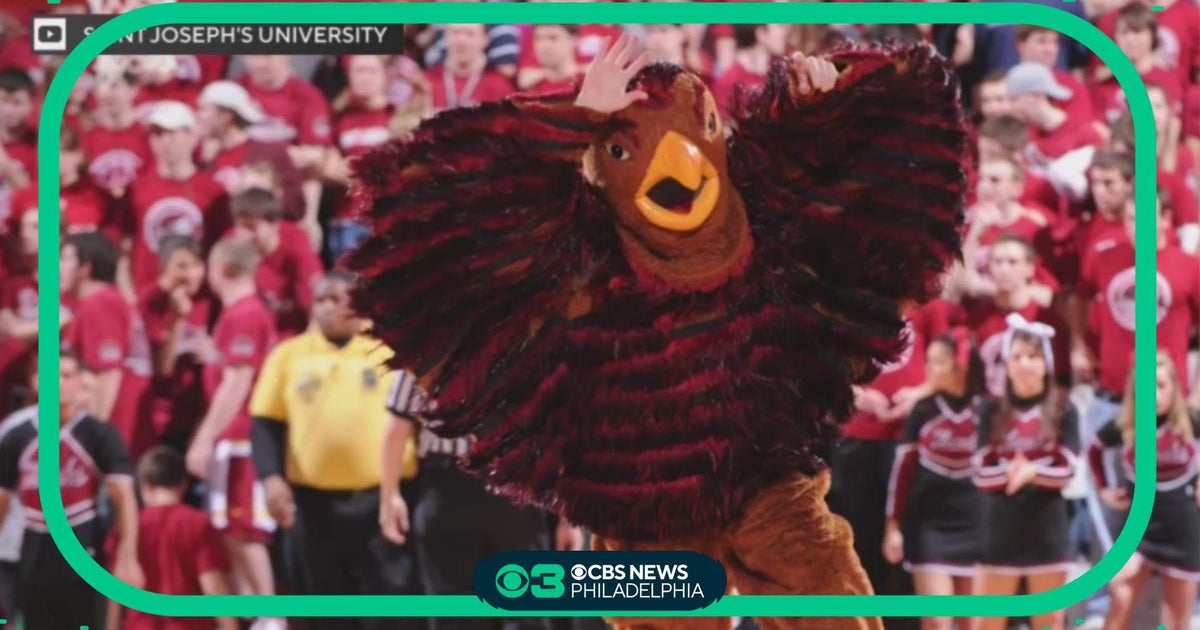 St. Joseph's University to unveil update to hawk mascot Friday - CBS ...