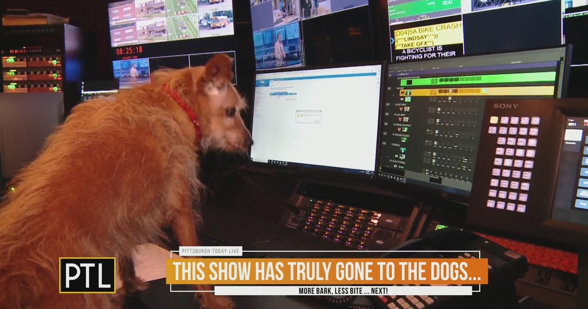 Kip's taking over PTL - CBS Pittsburgh