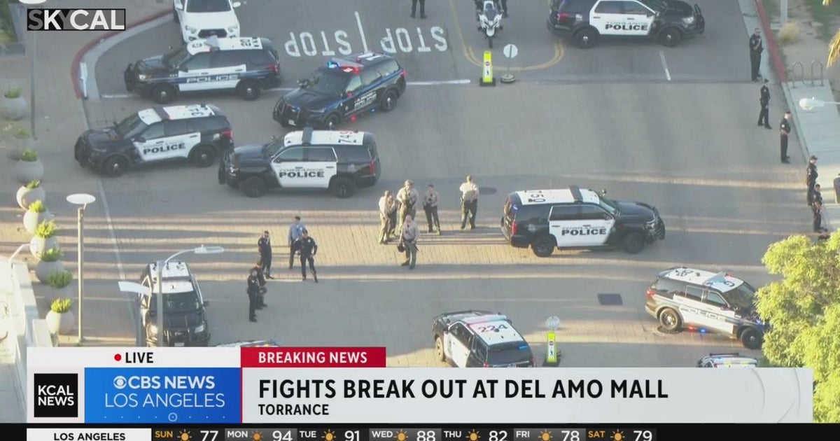Massive brawl draws multi-agency response from law enforcement at Del ...