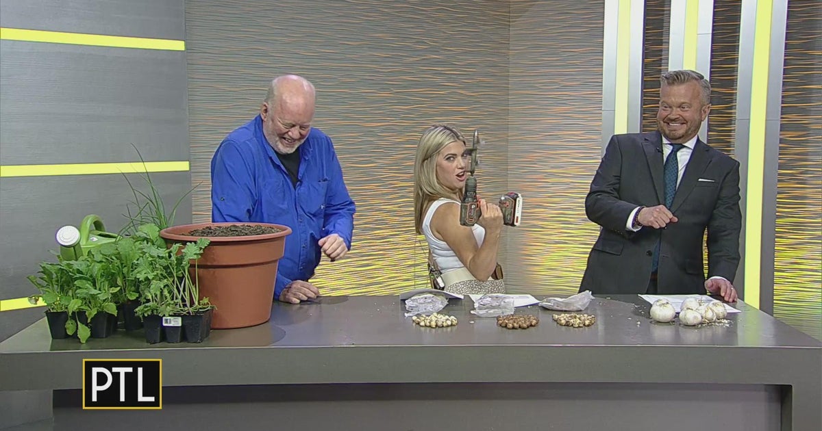 Doug Oster S Tips For Planting Bulbs In The Fall Cbs Pittsburgh