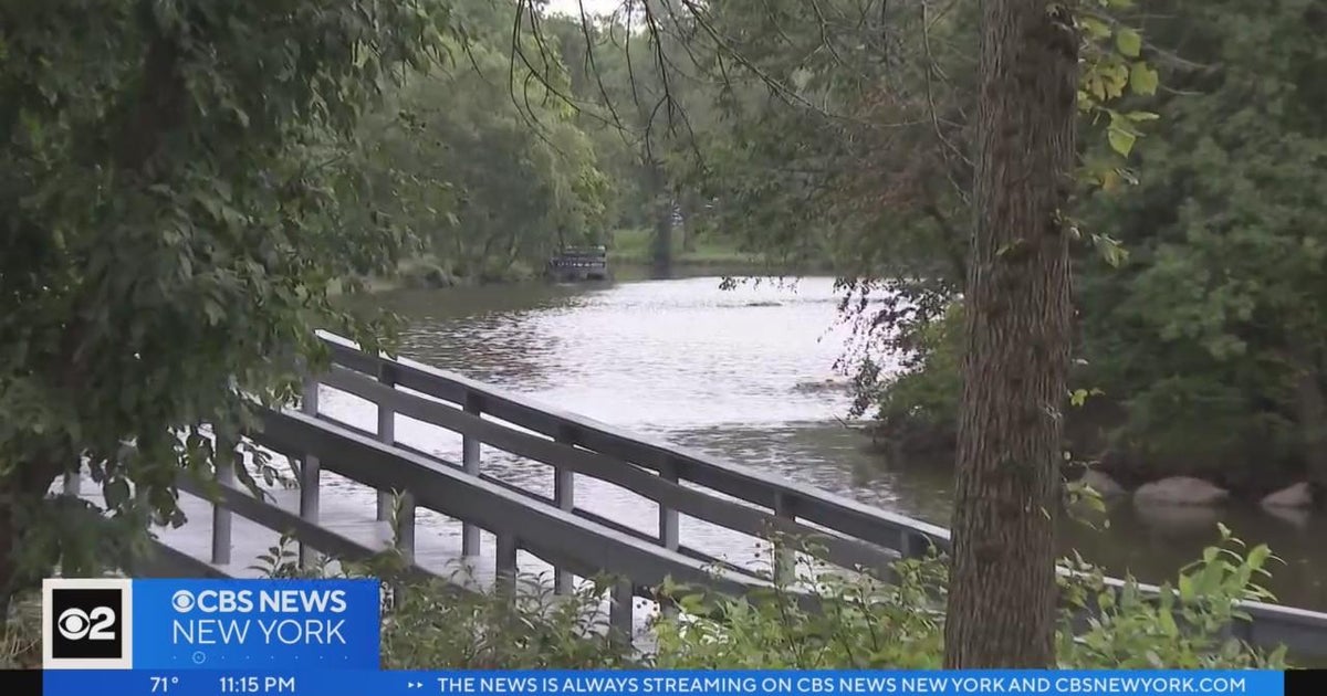 Search continues for alligator spotted in New Jersey lake - CBS New York