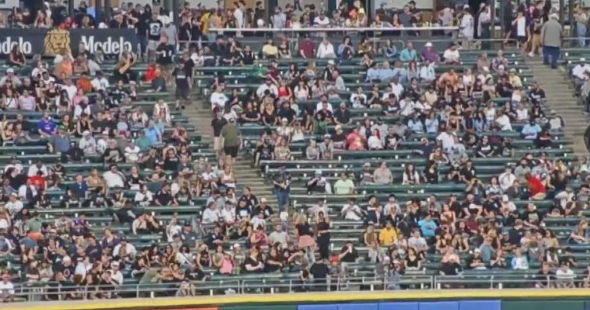 Lawyer For Woman Shot At White Sox Game Says She Didnt Bring Gun Into