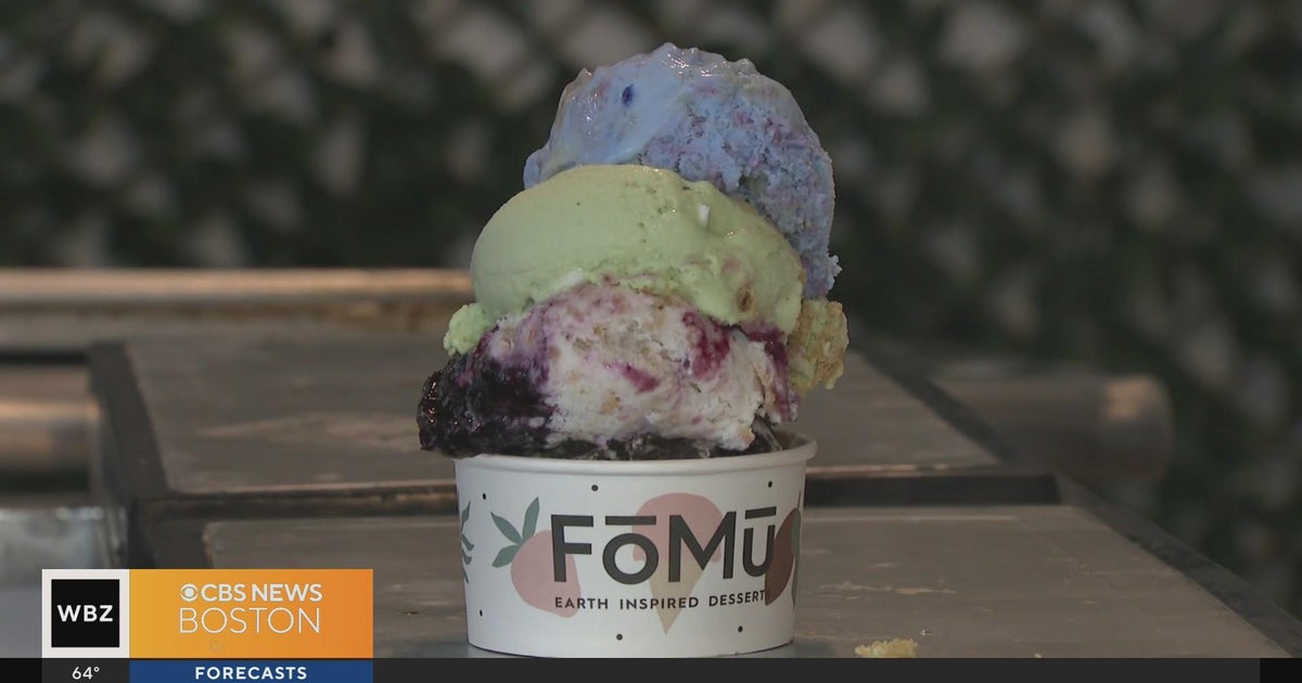 It Happens Here: Watertown's FoMu ice cream is different, healthier and ...