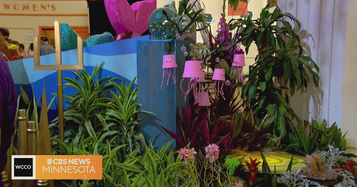 Bachman's fair floral show this year is all about fairytales - CBS ...