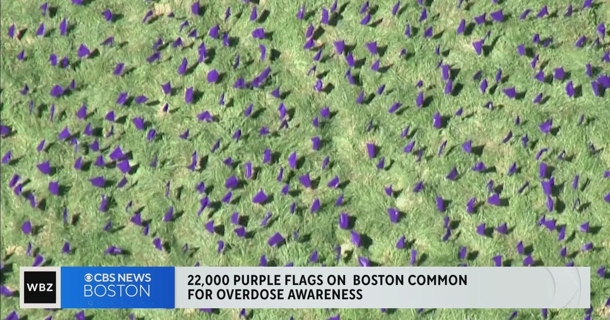 22,000 purple flags on Boston Common mark International Overdose ...