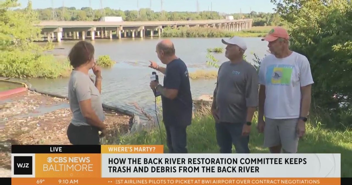 Where's Marty? In Essex with the Back River Restoration Committee - CBS ...