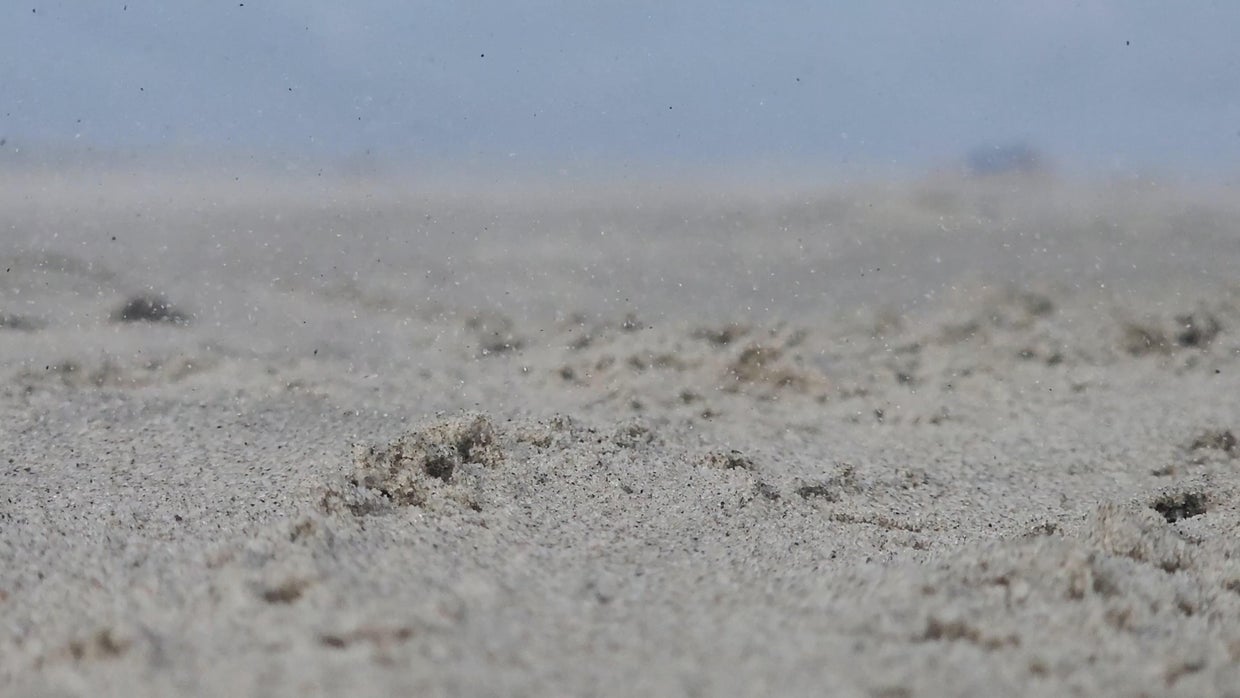 Hey Ray: Sand dunes and why they're important - CBS Pittsburgh