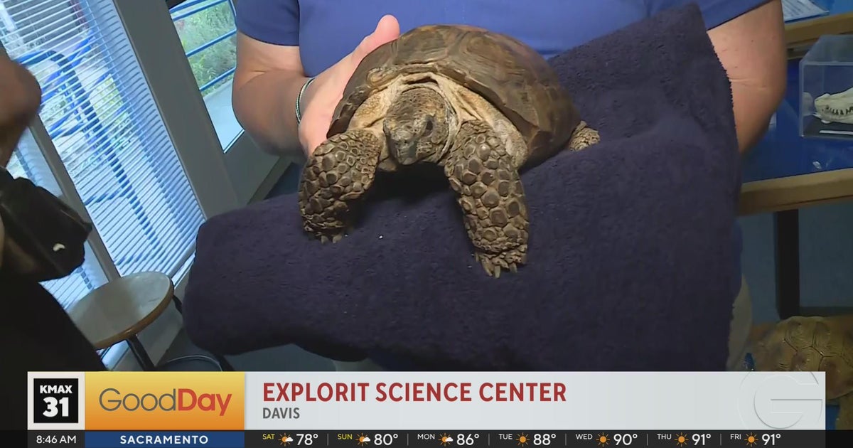 Explorit Science Center - Good Day Sacramento