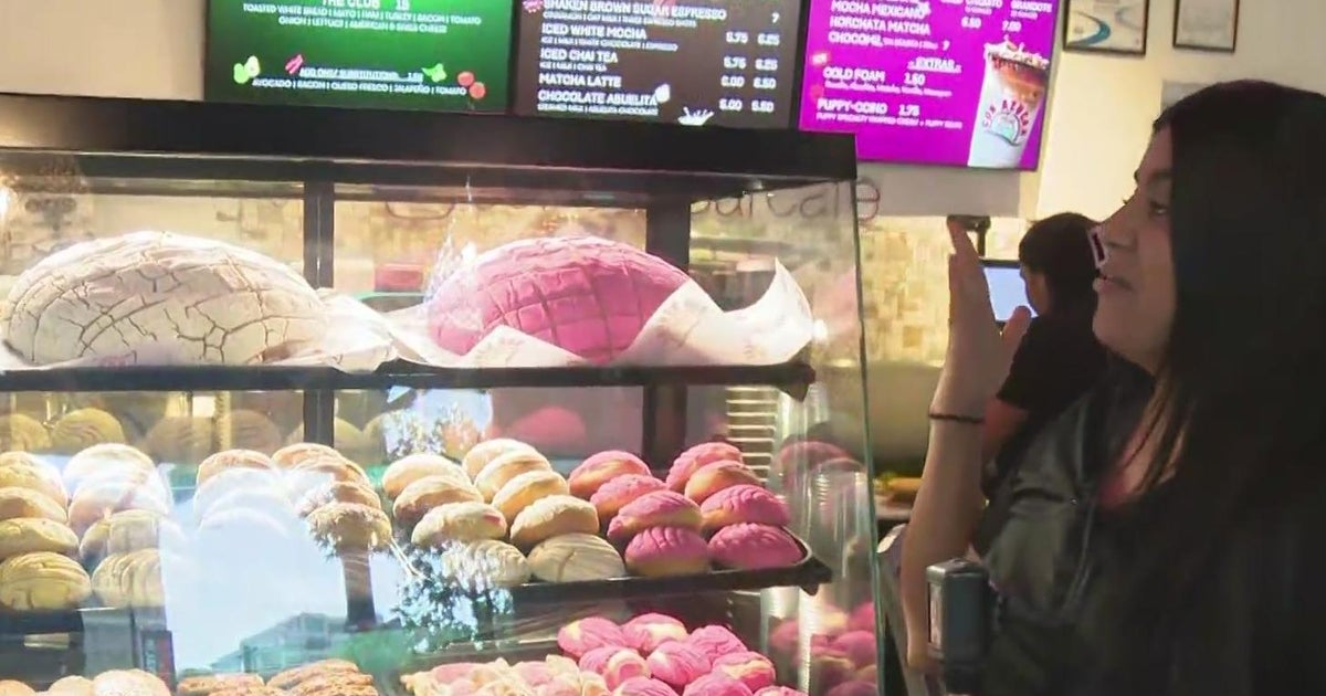 Con Azucar cafe and pastry shop in San Jose showcases eye-popping pan ...