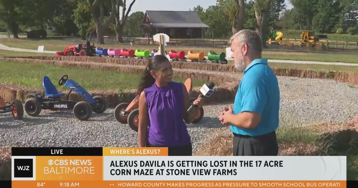 Where's Alexus? Exploring the 17-acre corn maze at Stone View Farms ...