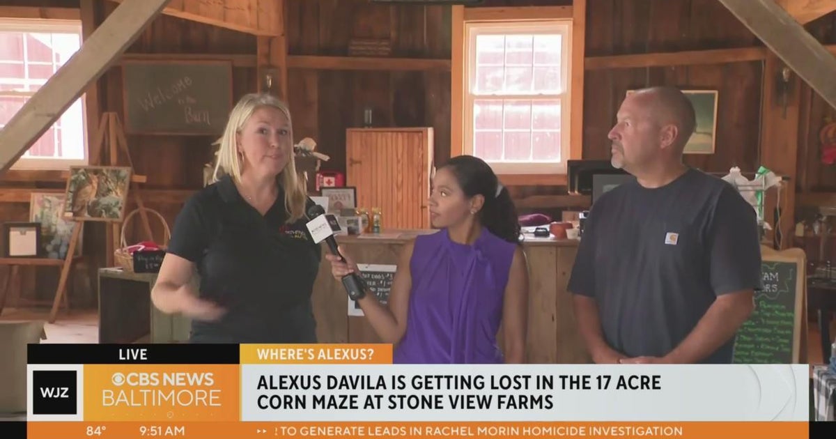 Where's Alexus? Getting lost in the 17-acre corn maze at Stone View ...