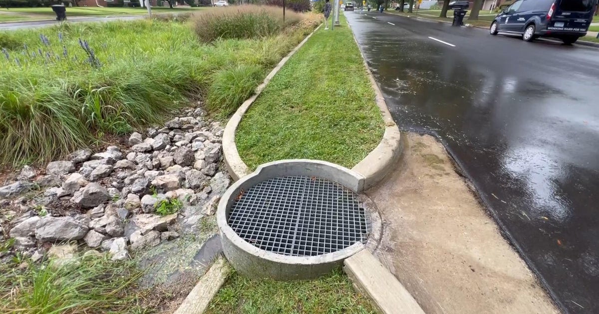 Detroit neighborhood benefitting from new drainage system aimed at ...