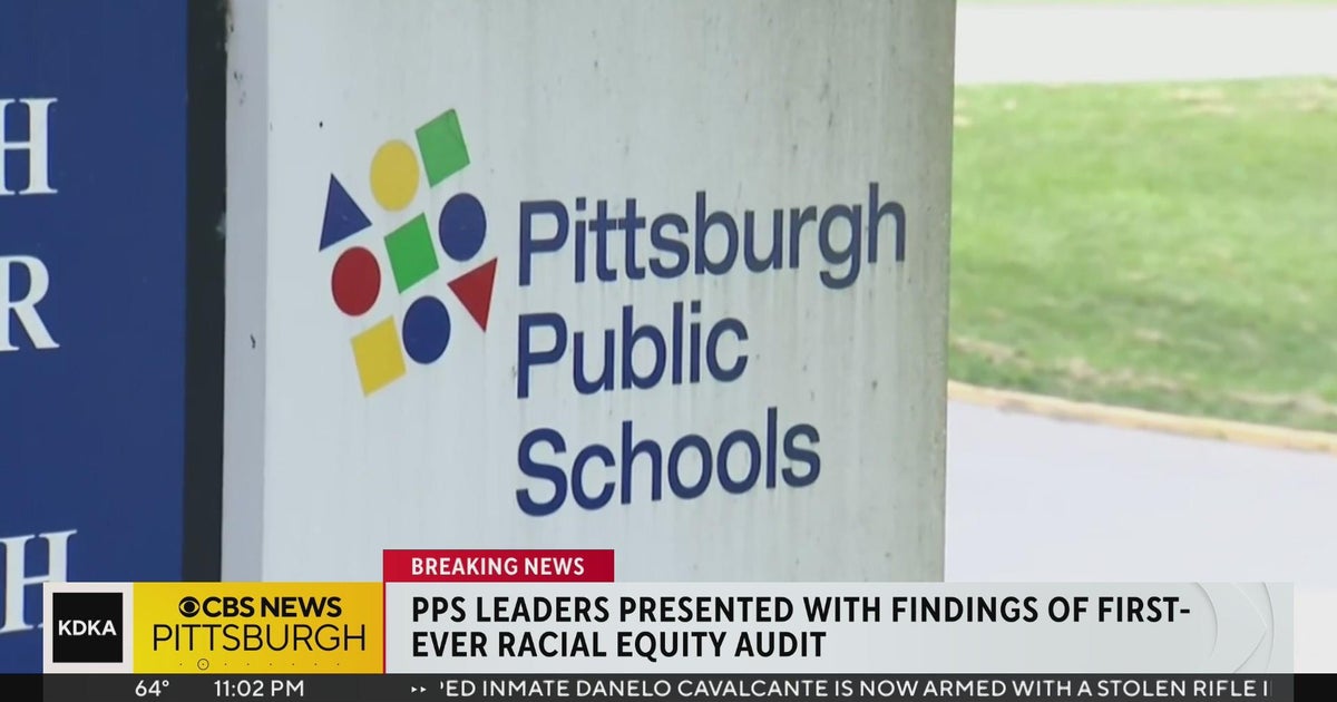 PPS leaders presented with findings of first-ever racial equality audit ...