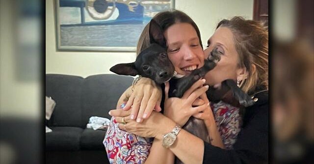 Good Samaritan returns lost dog to family after 22-day search - CBS News