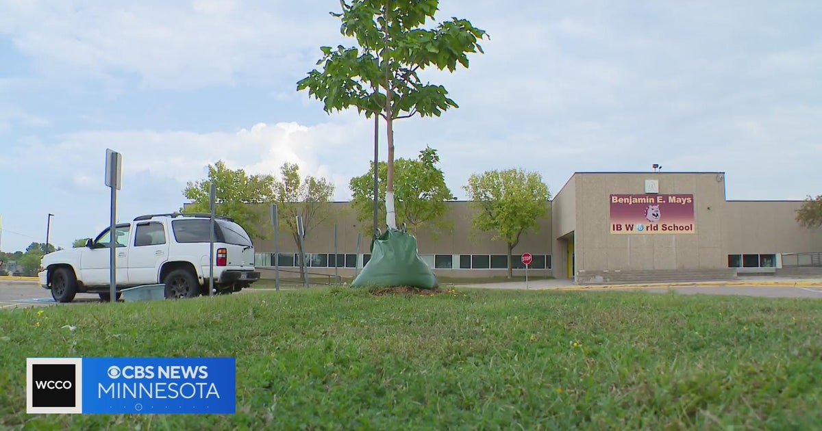 14,000 trees to be planted across 5 Minnesota cities - CBS Minnesota