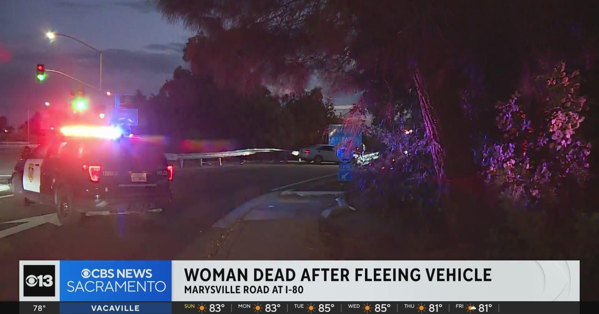 Woman fleeing police hit by vehicles after leaving car and running on I ...