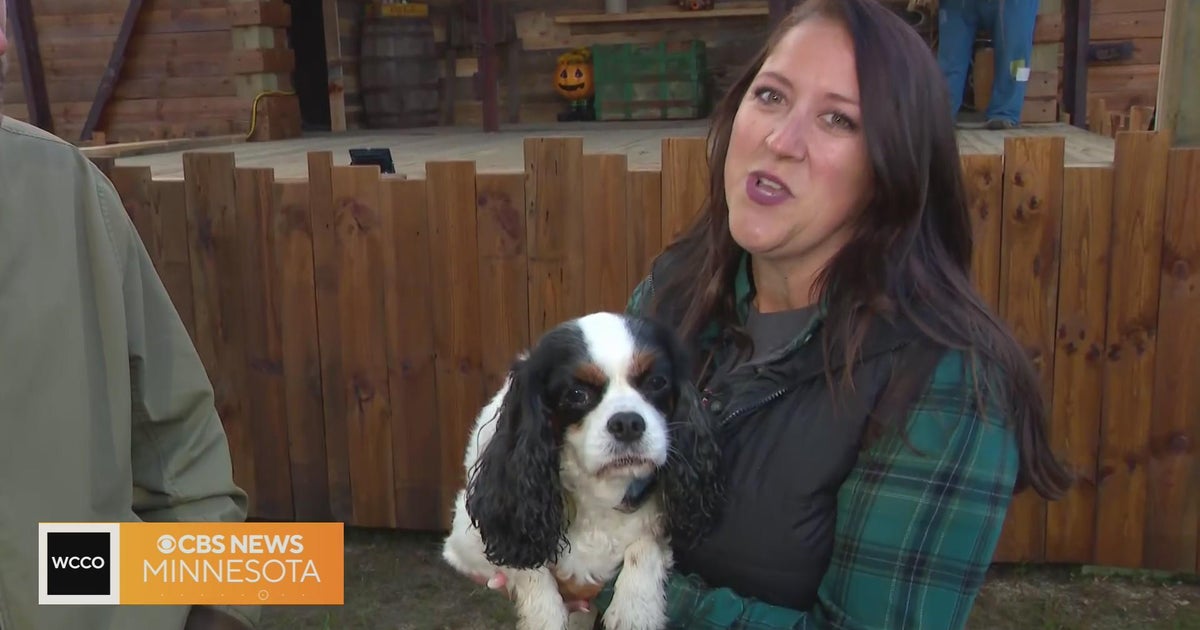 Bring your pups to Pinehaven Farm next weekend - CBS Minnesota