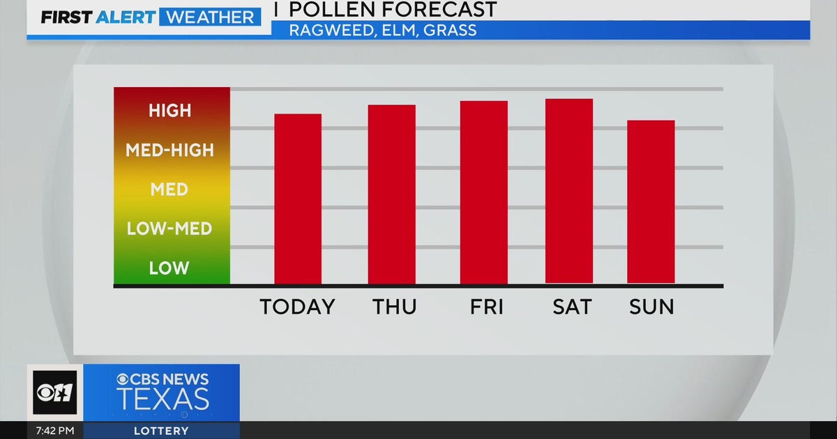 Pollen count and temps high through the end of the week - CBS Texas