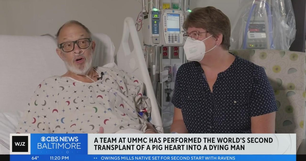 Maryland surgeons perform second pig heart transplant, trying to save a ...
