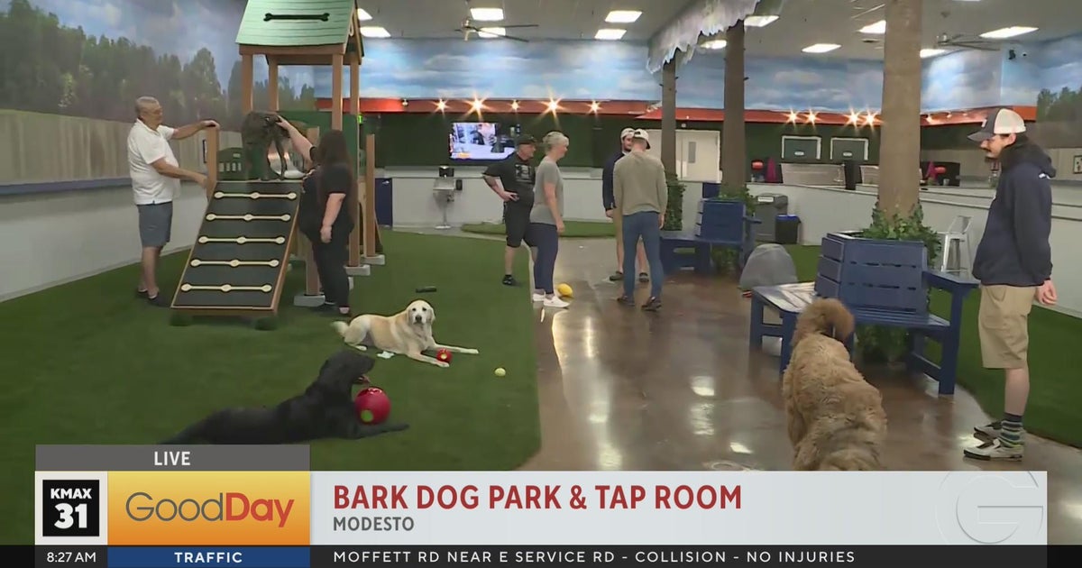 Bark Dog Park and Tap Room - Modesto - Good Day Sacramento