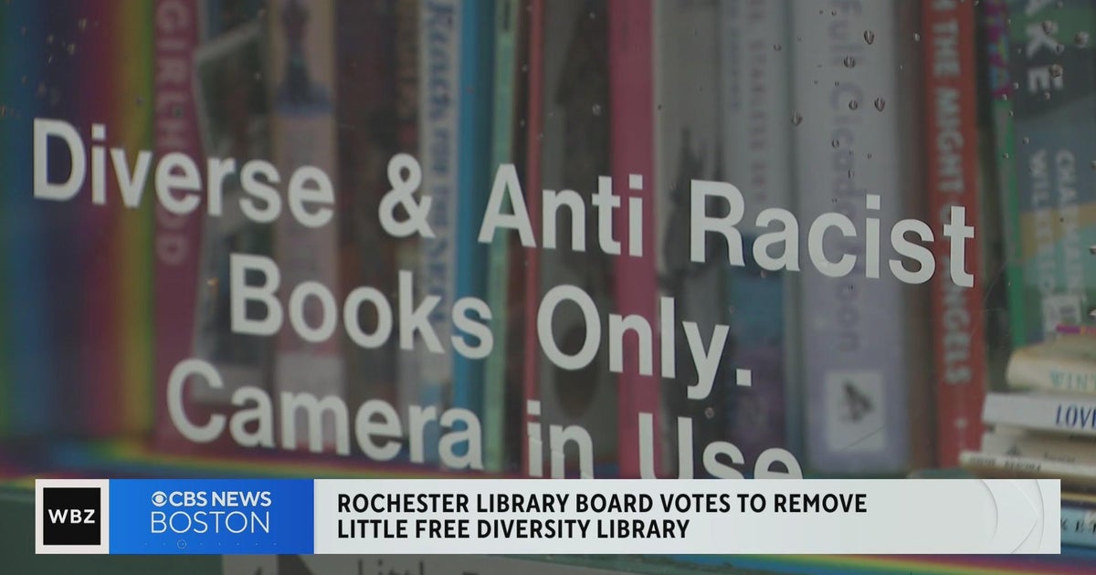 Rochester Library Board of Trustees votes to remove Little Free ...