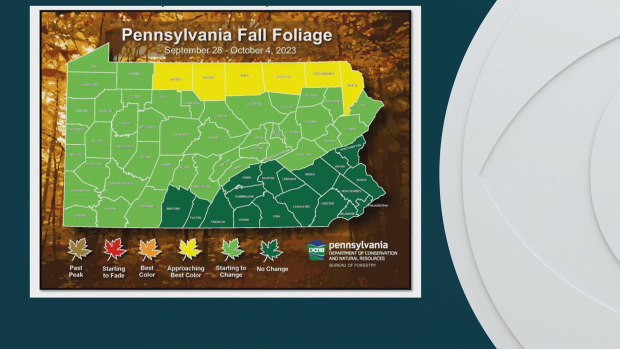 1st 2023 fall foliage map report for Pennsylvania released of the ...