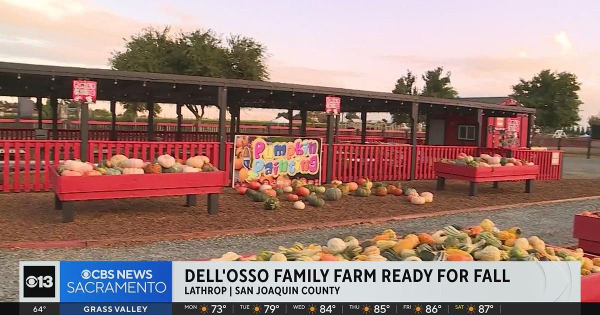 Dell'Osso family farm ready for fall - CBS Sacramento