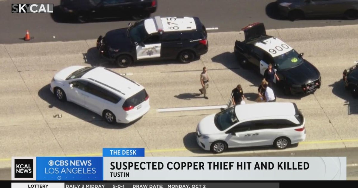 Suspected copper thief hit, killed on 55 FWY while running from police ...