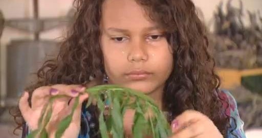 Meet Turquoise - CBS Colorado