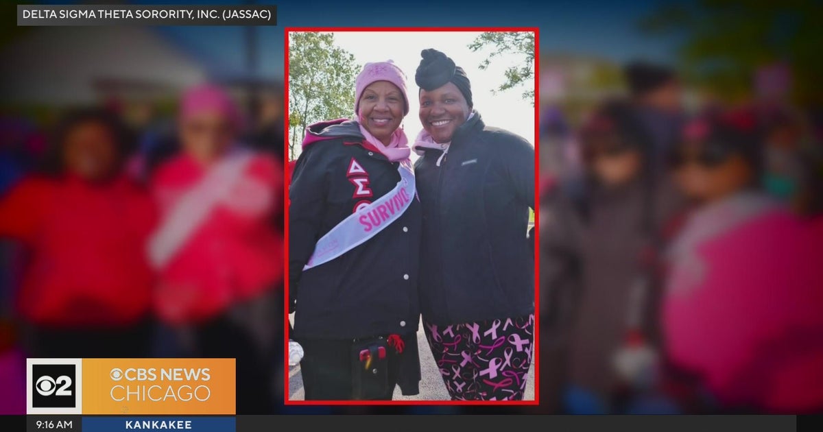 National Breast Cancer Awareness Month: Delta Sigma Theta sorority ...