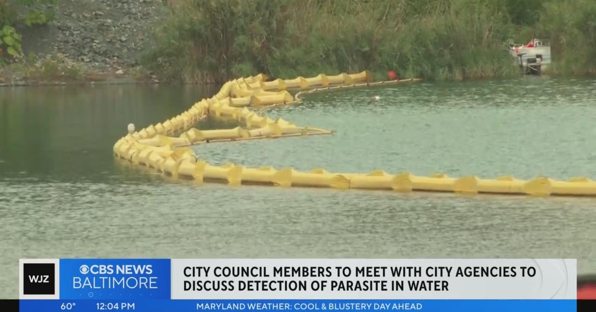 City council members to meet with city agencies to discuss detection of ...