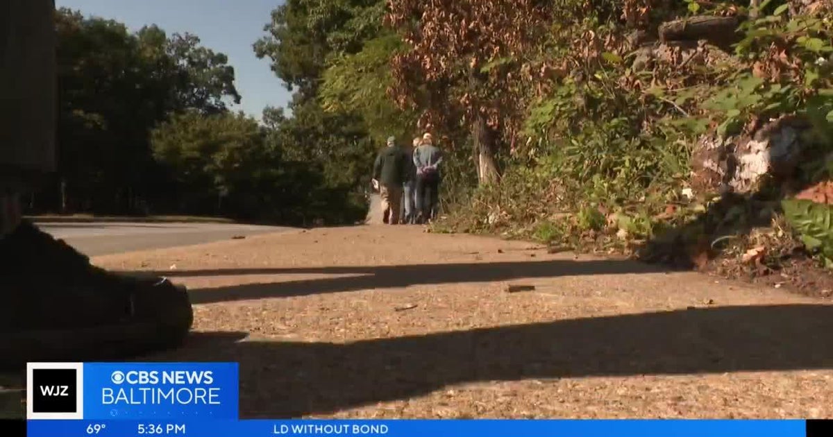 Environmentalists push back as Baltimore plans to clear out old-growth ...