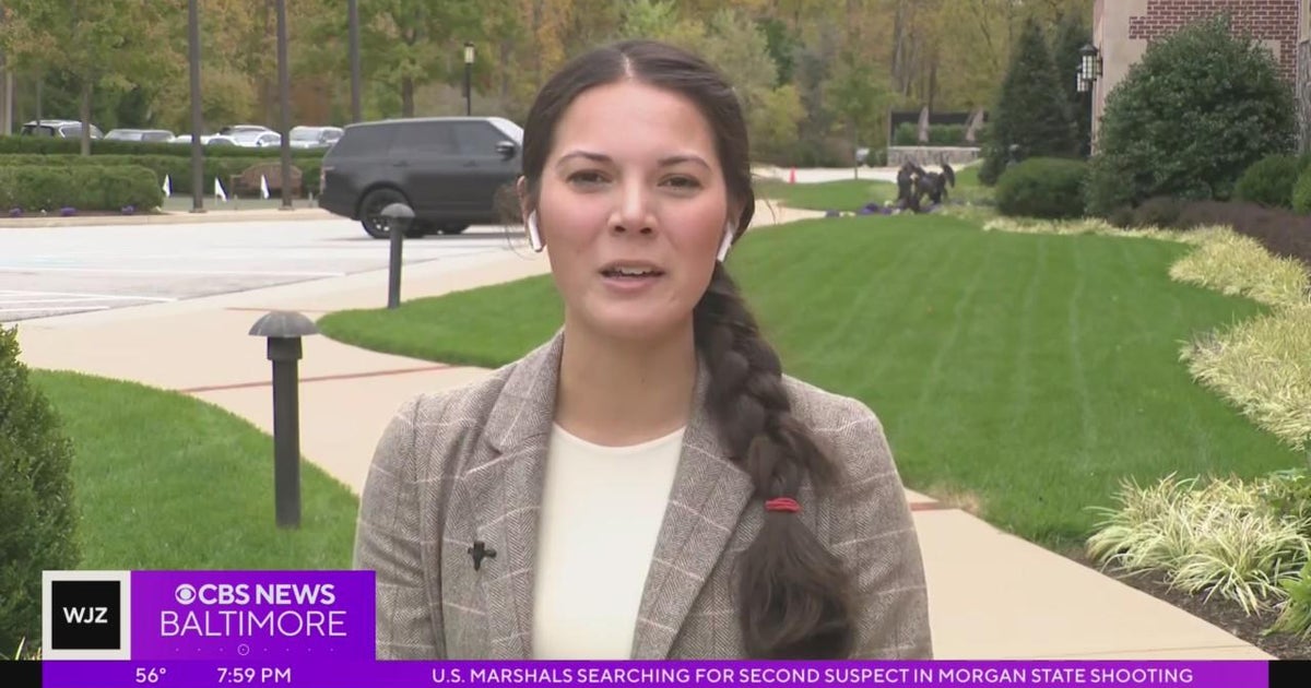 The Baltimore Banner's Giana Han talks Ravens on Purple Connection ...