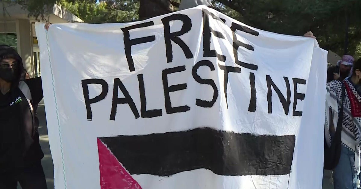Pro-Palestine demonstration held at UC Davis, Jewish community members ...