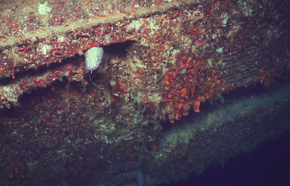 Missing submarine found 83 years after it was torpedoed in WWII battle ...