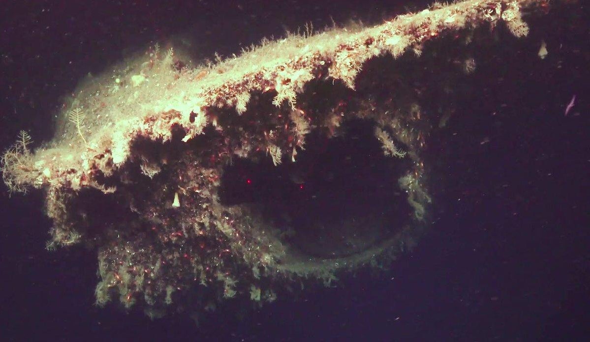 Missing submarine found 83 years after it was torpedoed in WWII battle ...