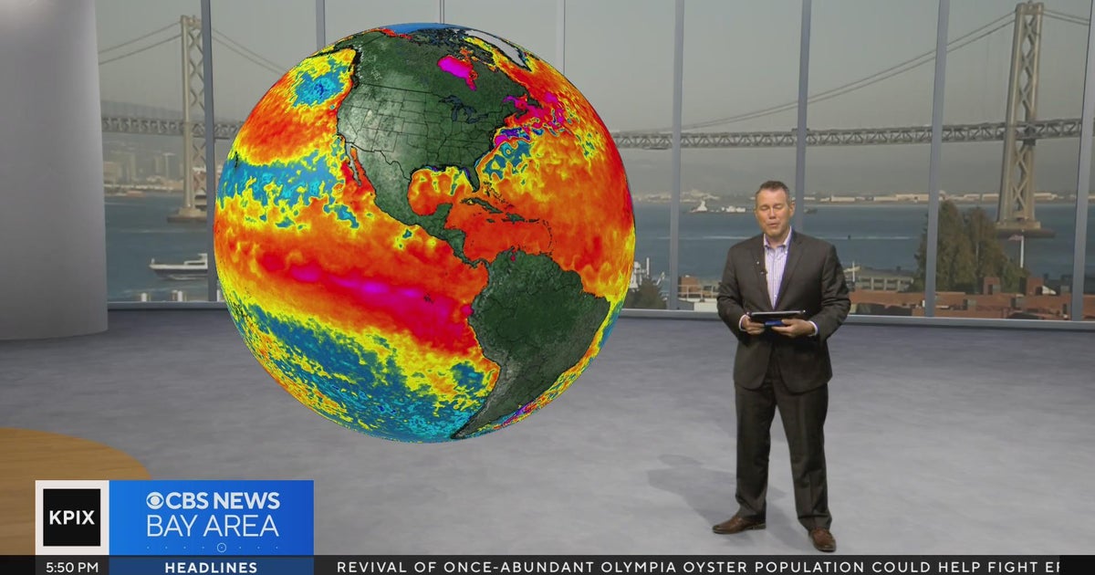 A Look At Possible El Niño Impacts On Bay Area Weather This Winter